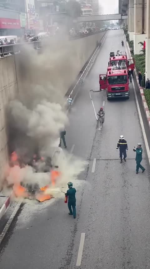 Logo của Audi có hình dạng gì? | AI Hay - Hỏi ngay đáp hay